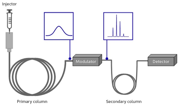 Technical note: Comprehensive two‑dimensional gas chromatography